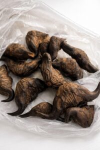 I Found A Strange Bag Of Food On My Doorstep And What Happened Next ...