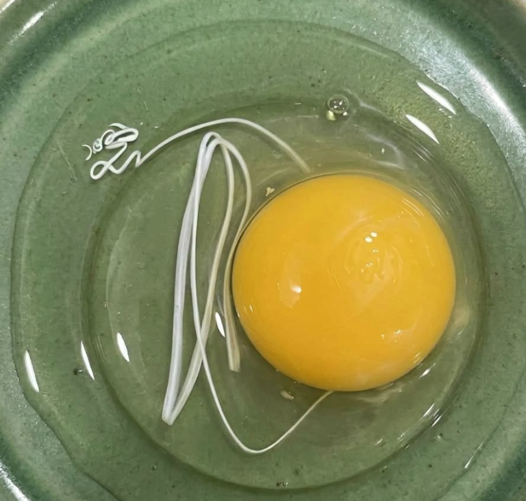 This morning, I woke up and decided to make fried eggs. – Ridfa Story